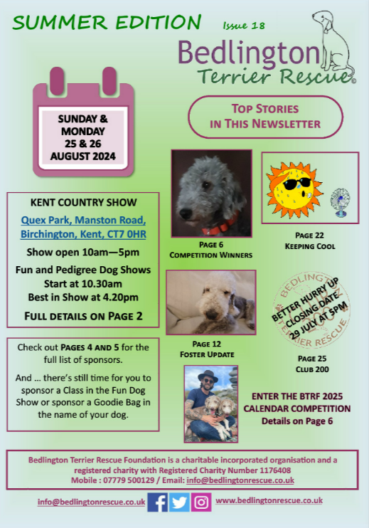 Bedlington Terrier Rescue - helping Bedlington Terriers and their crosses